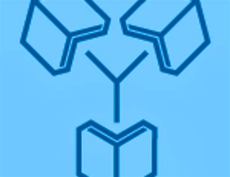 Divide And Conquer Sorting And Searching And Randomized Algorithms Coursera