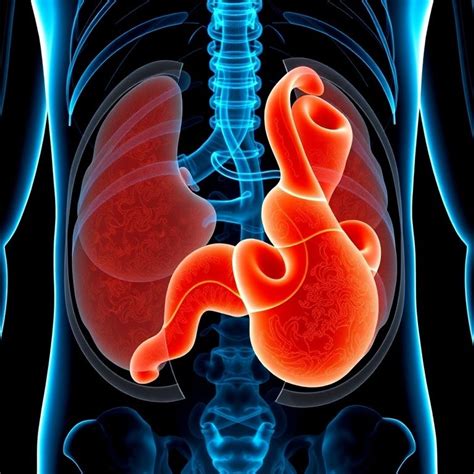 Icd 10 Codes For Diabetes A Comprehensive Guide Wmwtl