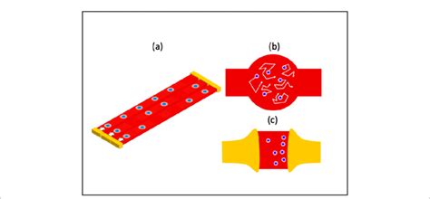 Schematics Of Three Emblematic Skyrmionic Devices A The Skyrmion