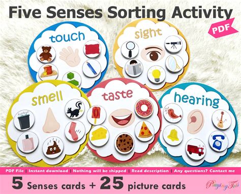 Five Senses Projects For Kindergarten