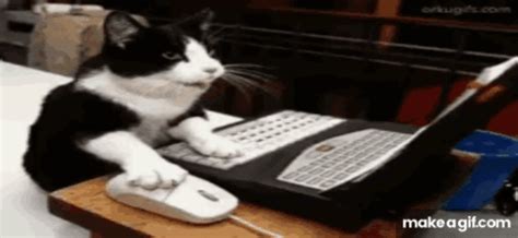 crazy citty coding on make a
