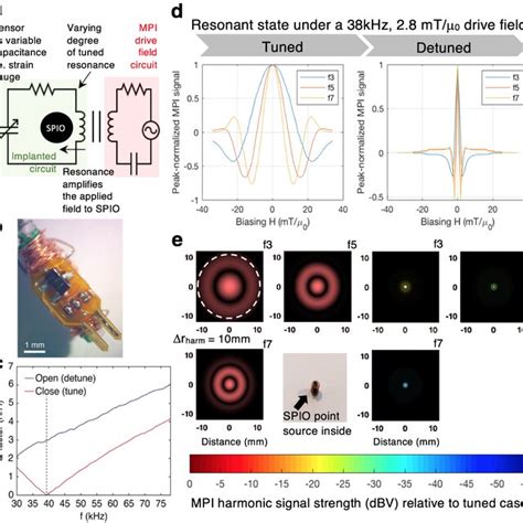Shielding Based Strategy For Coupling Sensor Information To MPI Imaging Download Scientific