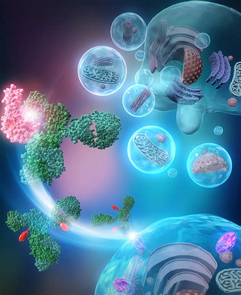 Scientific Cover Picture Illustration Services Biochemistry 5 March