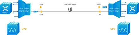 Ensuring Network Security Six Common Dwdm Solutions