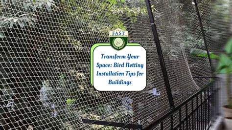 Transform Your Space Bird Netting Installation Tips For Buildings