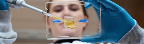 Setting The Pace Ubc Biomedical Innovation