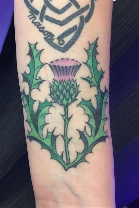 Scottish Thistle Tattoos For Men