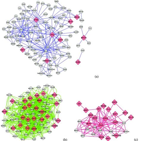 molecular complexes obtained from the mcode algorithm analysis a