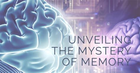 decoding memory from engrams to echoes by biotic chronicles medium