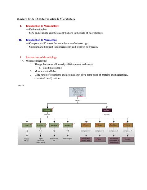 Microbio Lecture Notes Lecture Ch Introduction To Microbiology I Studocu