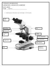 Microscope Lab Pdf CYTOLOGY LAB BIOL LO LABORATORY MICROSCOPY LAB REPORT DATE