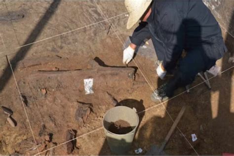 Rare Wooden Tools From Stone Age China Reveal Plant Based Lifestyle Of Ancient Lakeside Humans