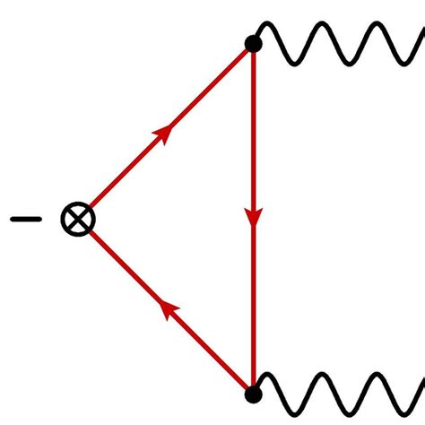 Representative One Loop Triangle Ct Diagrams The Counterterm Vertex