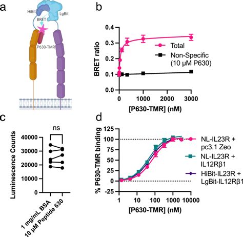 P630 Tmr Binding To Binary Nanobit Il 23 Receptor Complexes A A Download Scientific Diagram
