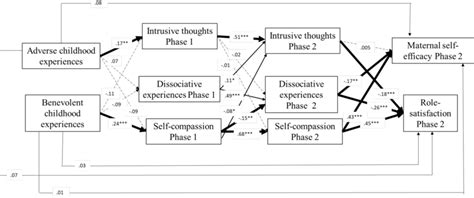 Model Of Relations Between Independent Variables And Maternal