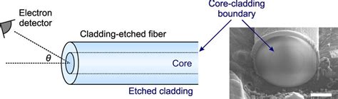 Fig S5 Observation Of The Cross Section Of A Cladding Wet Etched