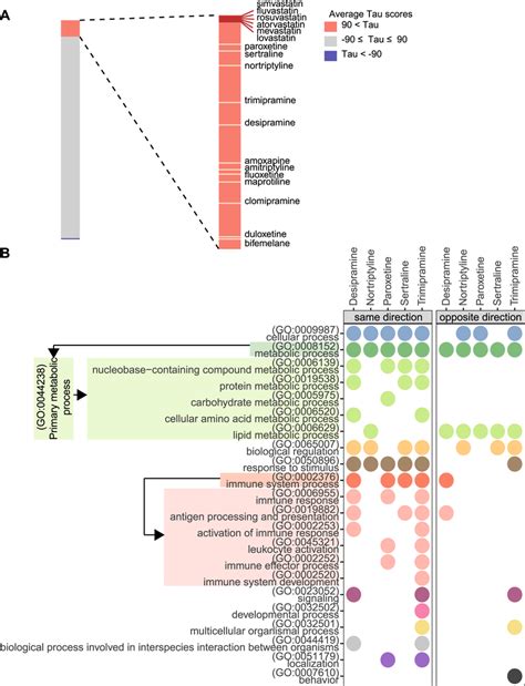 Statins And Antidepressants Induced Similar Transcriptomic Responses In