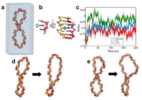 Modeling And Analysis Of Intercalant Effects On Circular Dna Conformation Abstract Europe Pmc