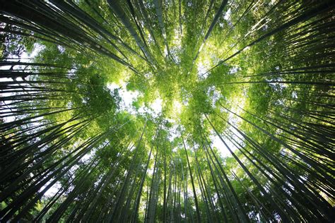 introduction to pandas part 3 data wrangling towards data science