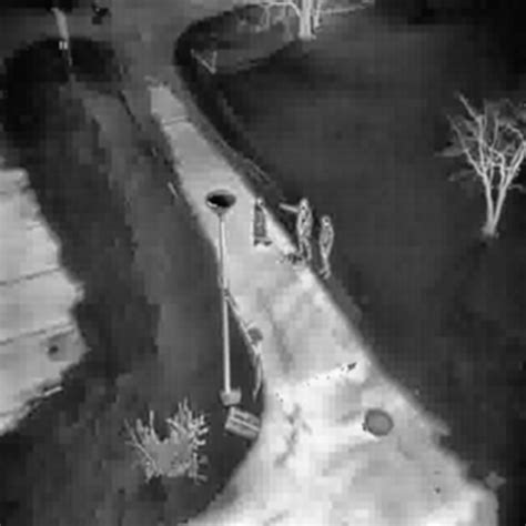 Thermaldataset Object Detection Dataset By Disasterdebris