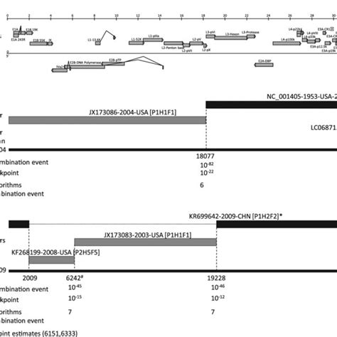 Schematic Representation Of Recombination Events Within Bj04 And Bj09