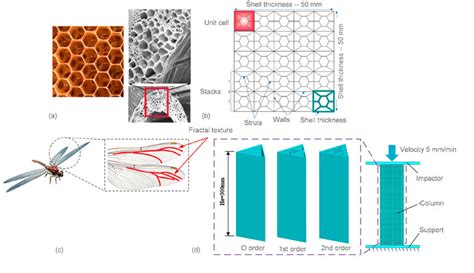 Bionic Inspired Cellular Structure Design A Bee Honeycomb Pattern Download Scientific