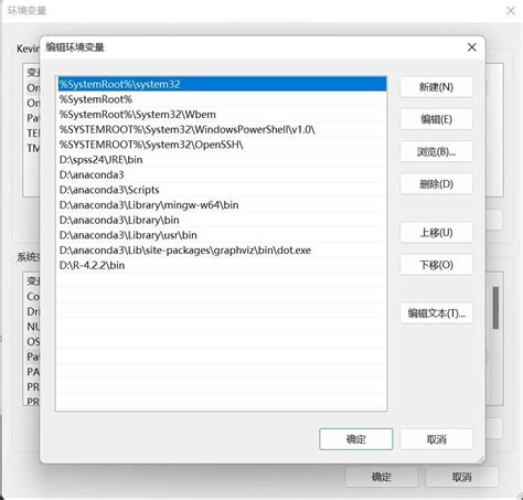 “fail to creat process” in r of vscode r vscode