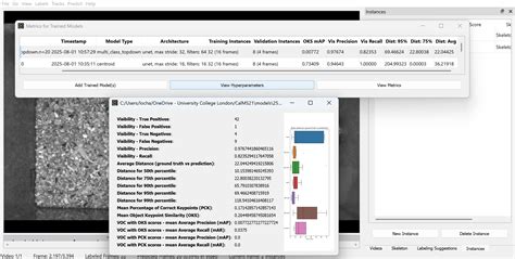 Running Pose Estimation On The Swc Hpc System