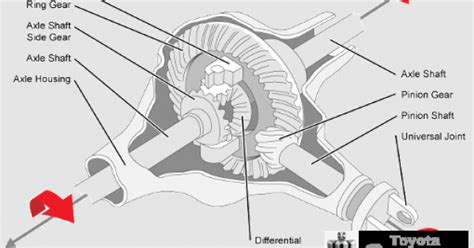 Differential Bearings Seals