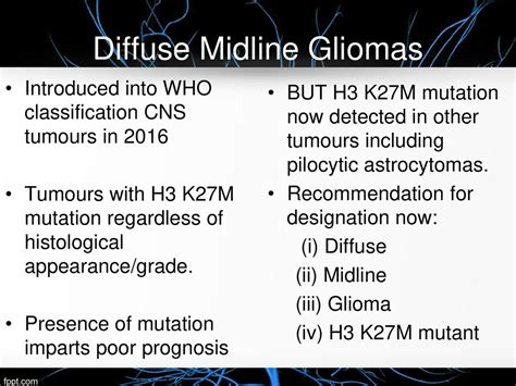 Neuropathology At Southmead Ppt Download