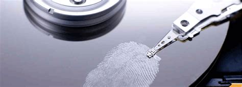 Florida Nclex Pass Rates By School 2016 Computer Forensics Online Schools