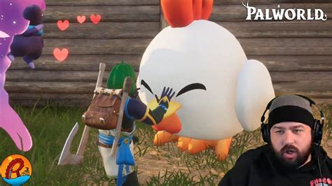 Reid Finds A Shiny Chikipi W Chocotaco Palworld Gameplay Part 2