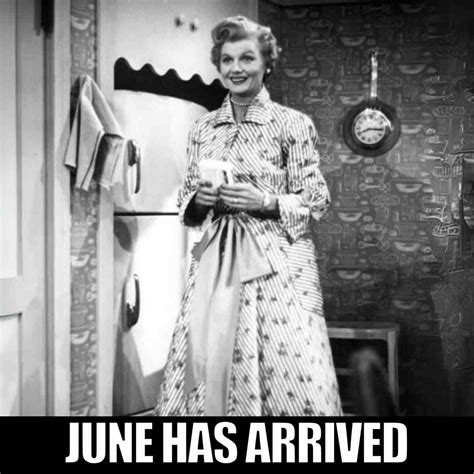 Best June Memes 2025 That Sum Up The Start Of Summer And Pride