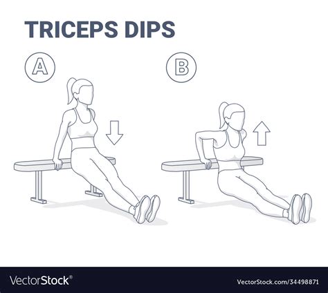 Seated Dips Exercise Cabinets Matttroy
