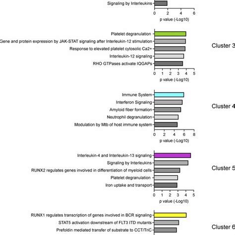 Figure S3 Pathway Analysis Of Scrnaseq Clusters Identified From γδ T Download Scientific