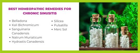 Homeopathic Medicine For Chronic Sinusitis Trilogy Medical