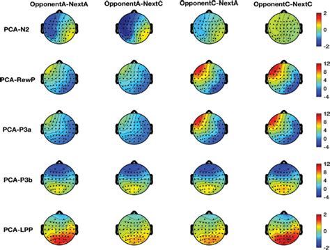 The Corresponding Scalp Topographies Of Each Factor For Each Condition