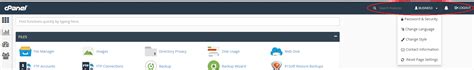 How To Use CPanel Beginners Guide