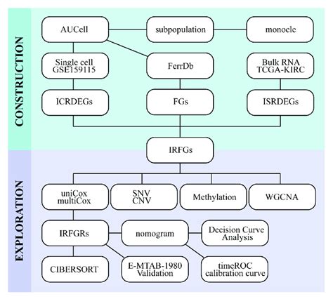 Overall Analysis Flow Chart Download Scientific Diagram