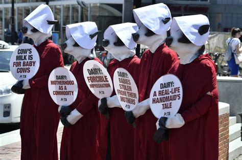 Handmaid S Tale Files Page 11 Literotica Discussion Board