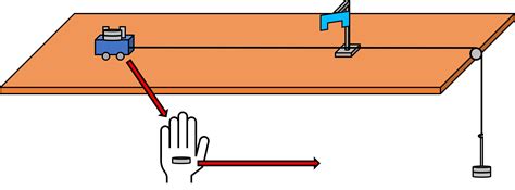 Newton S Laws Of Motion Questions And Revision MME