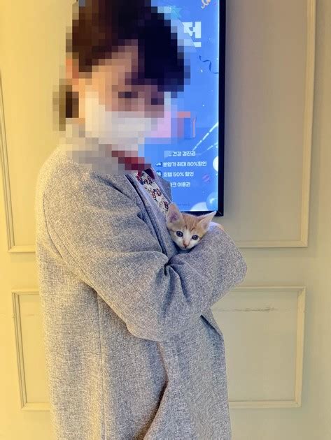 창원 2022 0148 하이브리드묘 치즈 책임분양 하이랜드폴드책임분양 애완견책임분양 반려견책임분양 소형견키우는방법 중형견키우는방법 대형견키우는방법 미니비숑프리제키우는방법