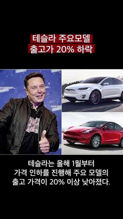테슬라 순이익 24 하락 테슬라 순이익 테슬라주가 일론머스크 Youtube