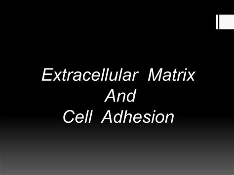 Extracellular Matrix And Cell Adhesion PPTX