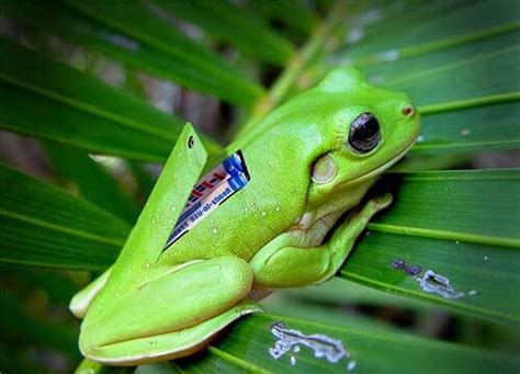 Masking Assignment Bapu Graphics