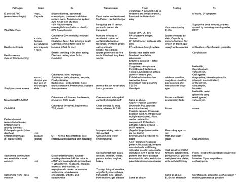 review for final exam medical microbiology mcdb 139 exams biology