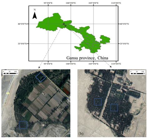 Discriminating Between Biotic And Abiotic Stress In Poplar Forests Using Hyperspectral And Lidar