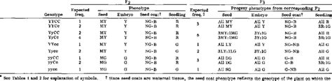 F2 And Fa Genotypes And Phenotypes With Expected Frequencies Derived