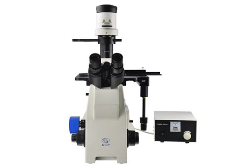 Laboratory Inverted Optical Microscope 400x Magnification For Biological