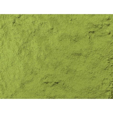 Matcha Ujicha Bernschutzandco Tea